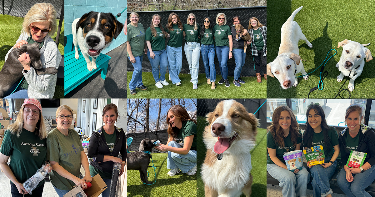 Advocate Capital Team Volunteers at Nashville Animal Rescue | Advocate ...